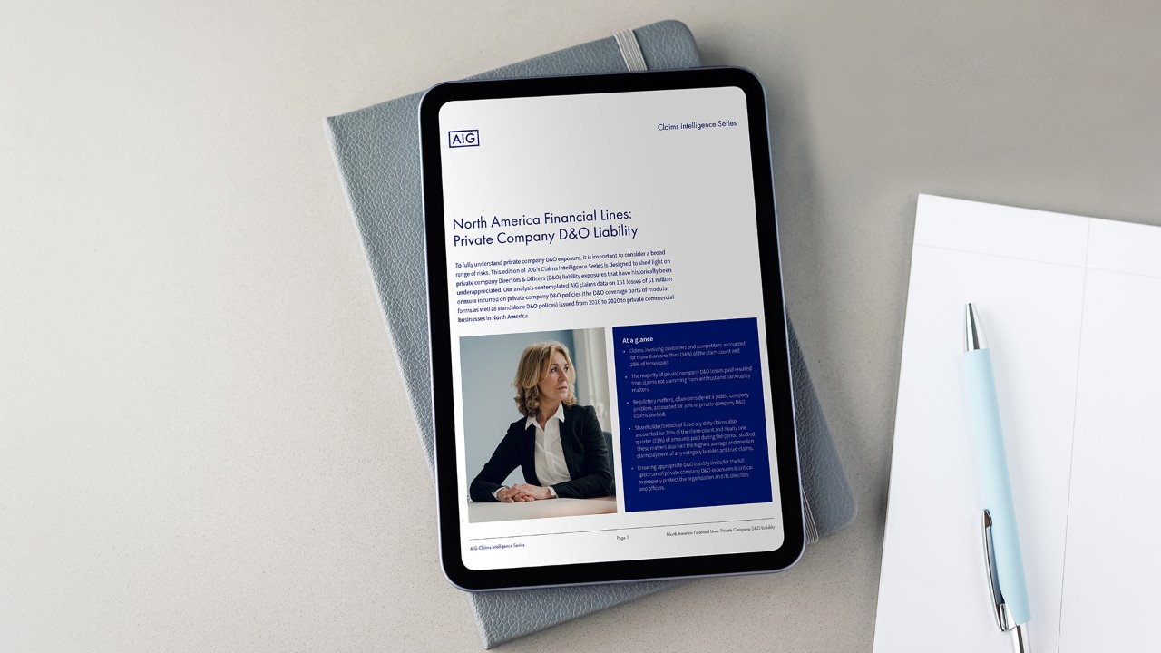 Claims Intelligence Series | AIG US