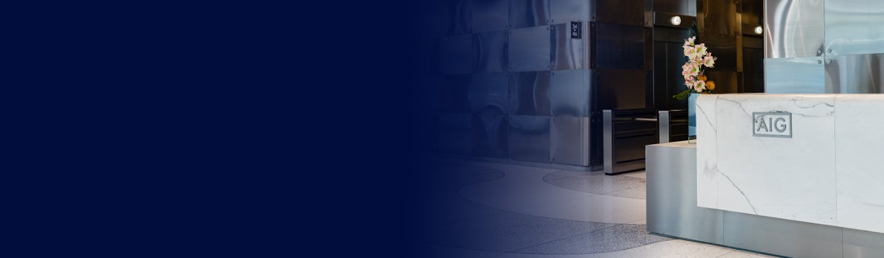 Investor Relations | AIG Insurance
